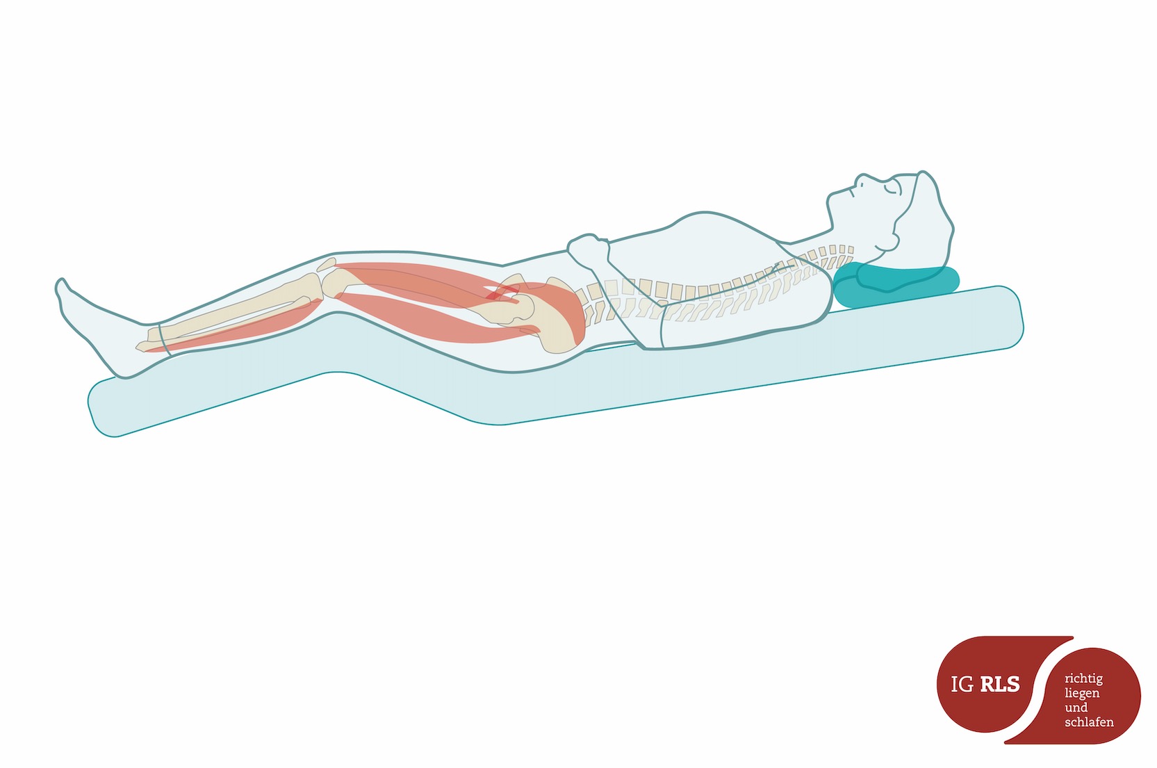 Ich bin Rückenschläfer - Ist die Rückenlage gesund? - Creativa ...